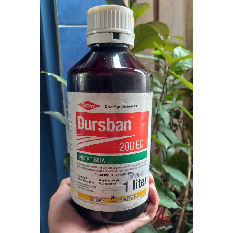 Jual Insektisida Dursban 200 EC Kemasan 1 Liter | Shopee Indonesia