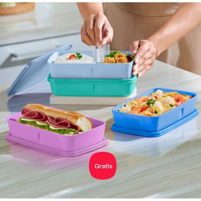 Jual LUNCH LITE ECER (1) TUPPERWARE / LUNCH BOX | Shopee Indonesia