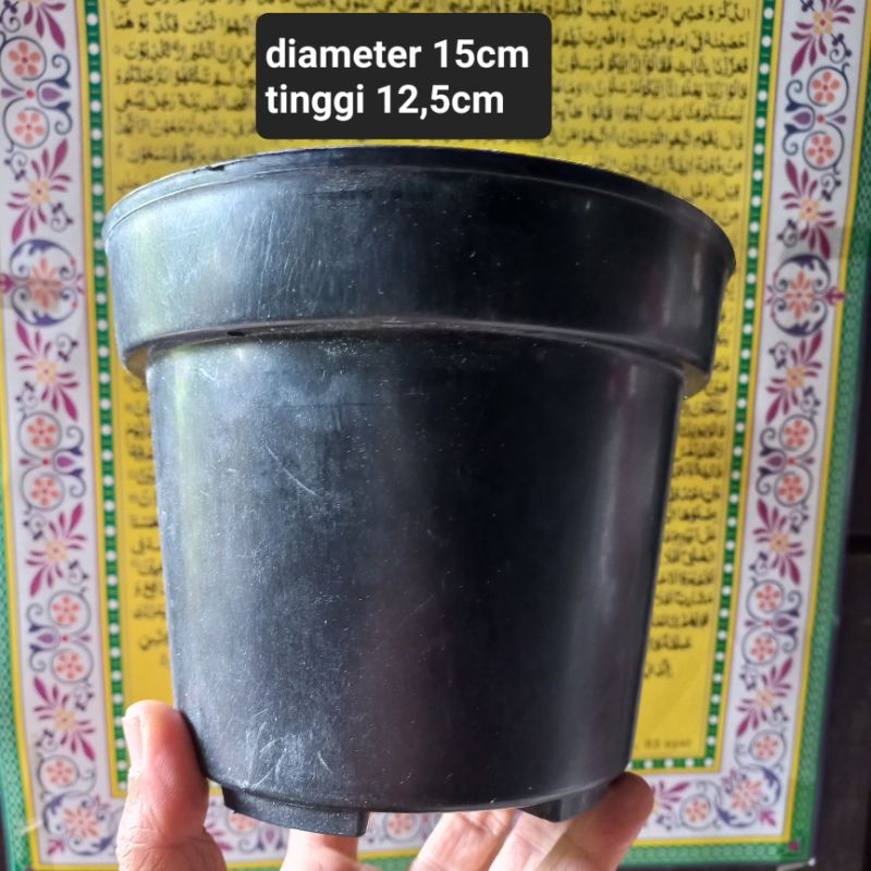 Jual Pot Hitam 15cm | Shopee Indonesia