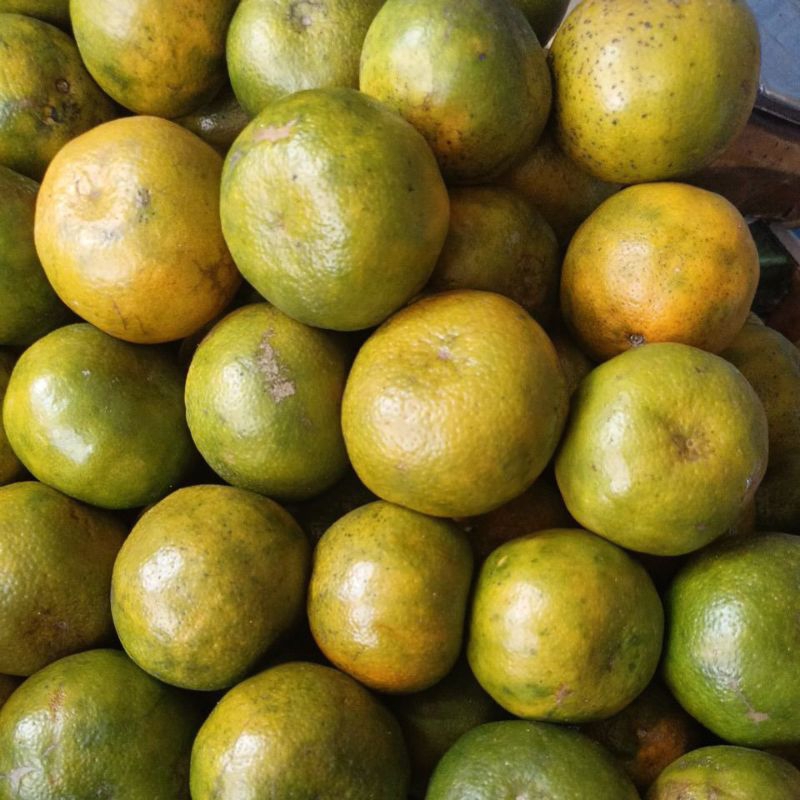 Jual JERUK MALANG 500gr | Shopee Indonesia