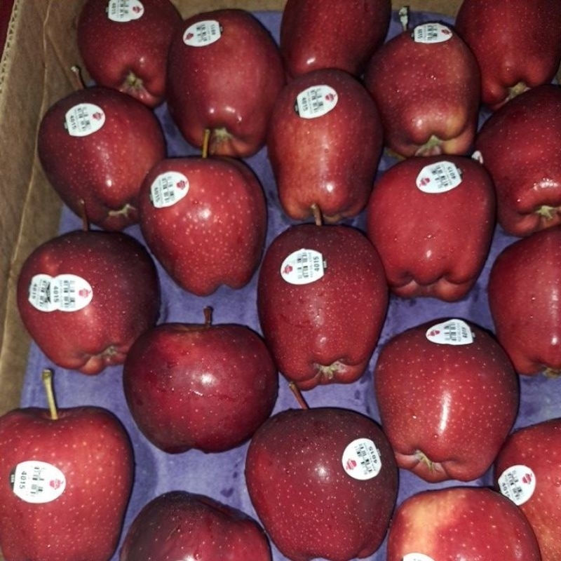 Jual apel merah USA 1kg | Shopee Indonesia