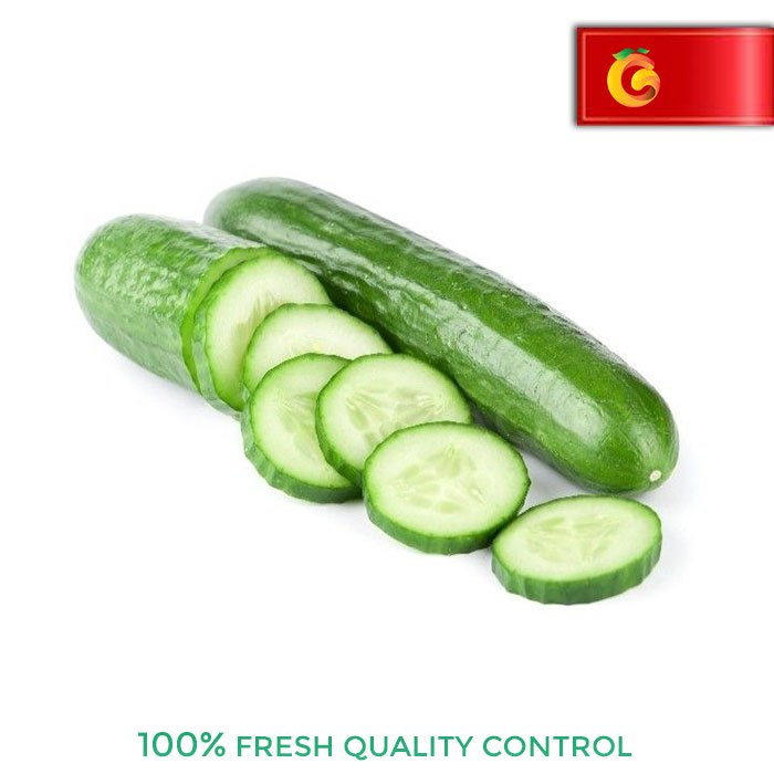 Jual SAYUR TIMUN KYURI FRESH 500 GRAM | Shopee Indonesia