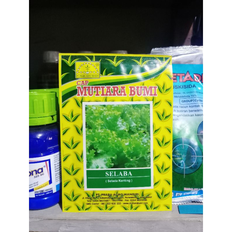 Jual benih selada keriting selaba cap mutiara bumi kemsan 15 gram ...