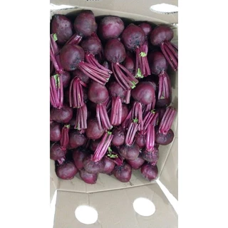 Jual Buah Bit Terlengkap & Harga Terbaru Agustus 2024 | Shopee Indonesia
