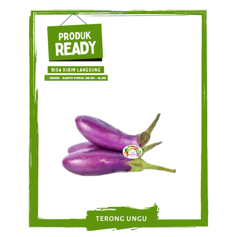 Jual Terong Ungu / Sayur Sayuran Segar Ready On Mallahrizwa | Shopee ...