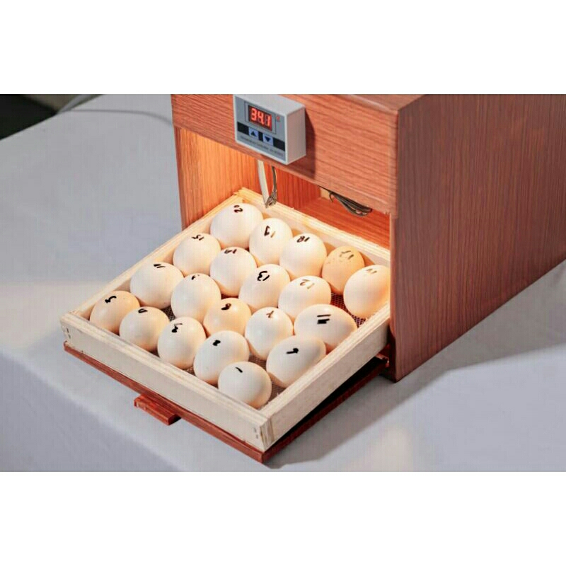 Jual mesin penetas telur semi otomatis digital kap 20 mesin tetas ...