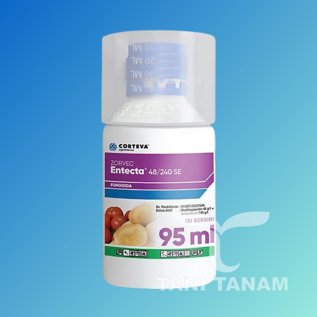 Jual ZORVEC ENTECTA 48/240 SE FUNGISIDA PENGENDALI BUSUK DAUN AKIBAT JAMUR PADA KENTANG | Shopee ...