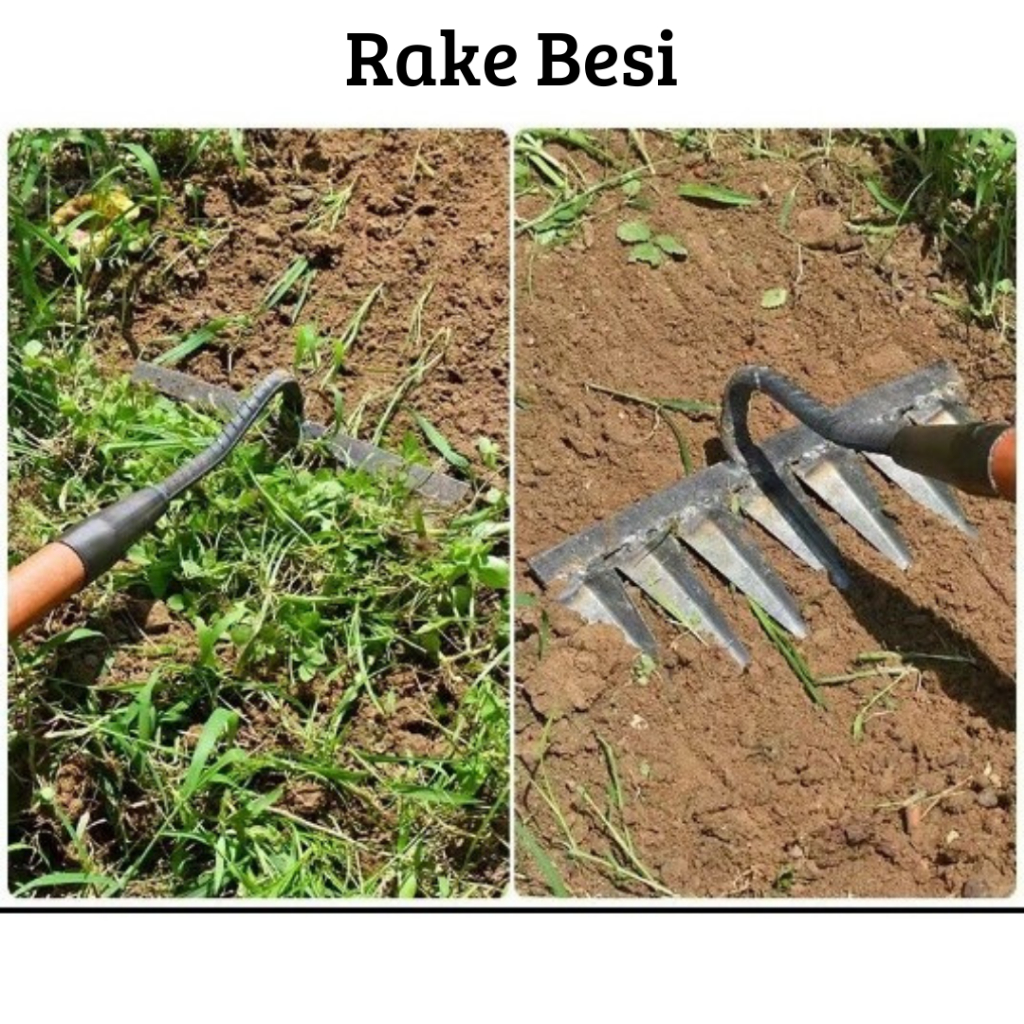 Jual Cangkul PACUL CADONG Penyiang Gulma Weeding Garu Harrow /Taman ...