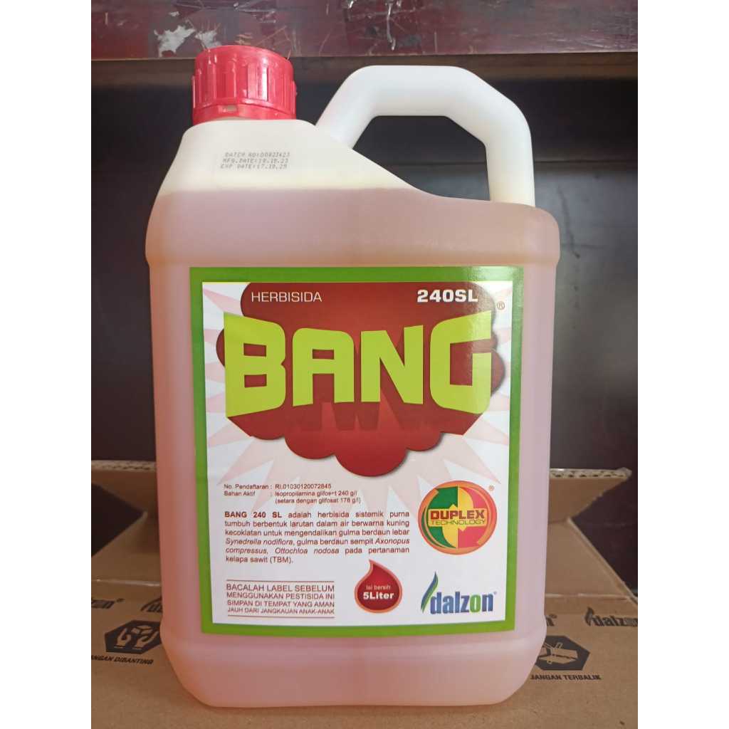 Jual RACUN RUMPUT BANG 240SL 5L | Shopee Indonesia
