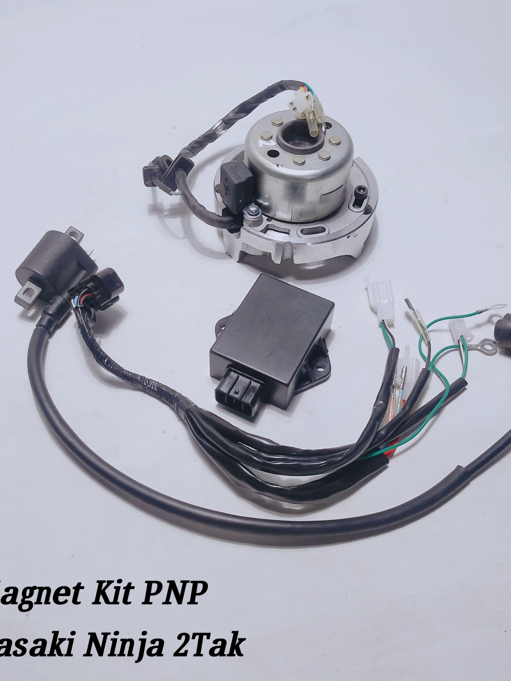 Jual MAGNET KIT PNP BEBAS REQUEST MOTOR | Shopee Indonesia