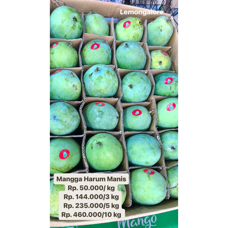 Jual BUAH MANGGA HARUM MANIS 1 DUS / FRESH MANGO KUALITAS PREMIUM ISI 1 ...