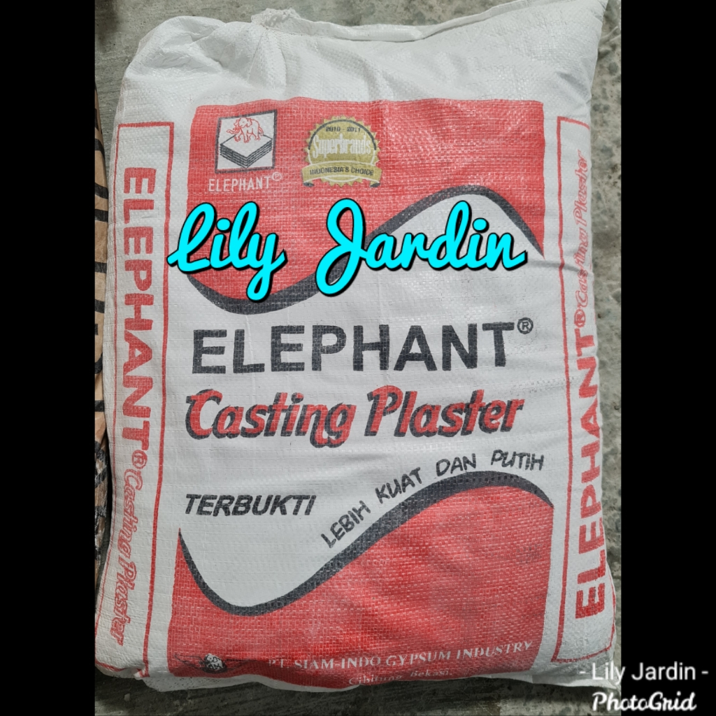 Jual Tepung Gips / Gypsum / Casting Plaster - 1 Zak | Shopee Indonesia