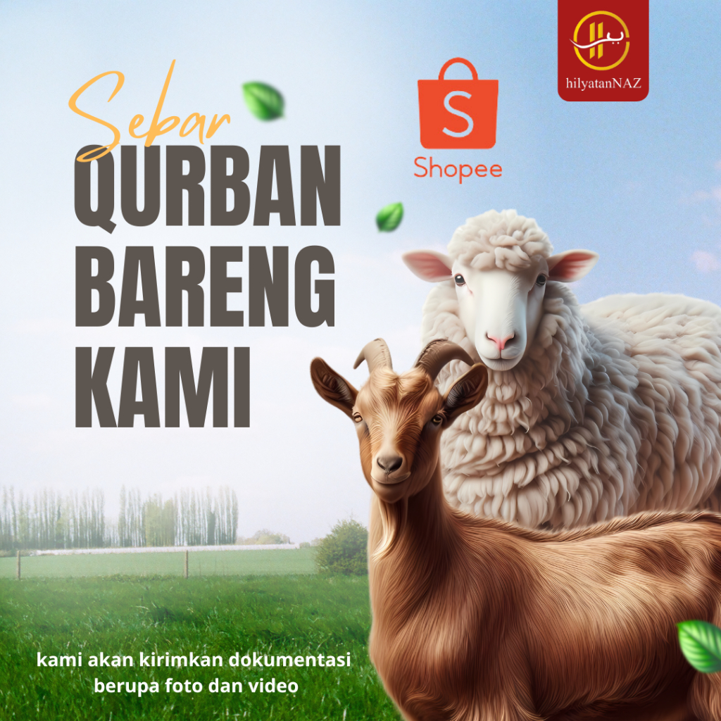 Jual kambing kurban domba qurban | Shopee Indonesia