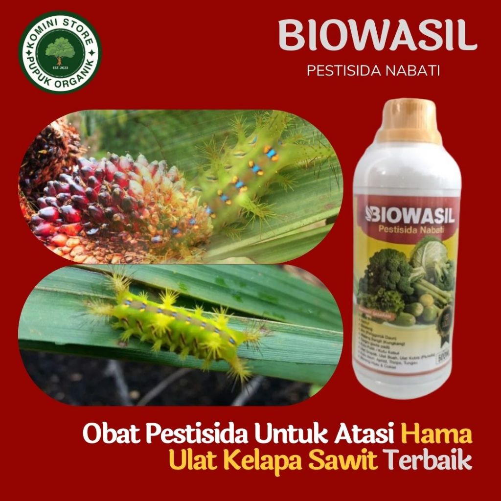 Jual pupuk pestisida basmi hama ulat api kelapa sawit ampuh - BIOWASIL ...