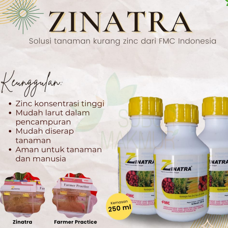 Jual Pupuk mikro ZN Zinc Zinatra 250 ml | Shopee Indonesia