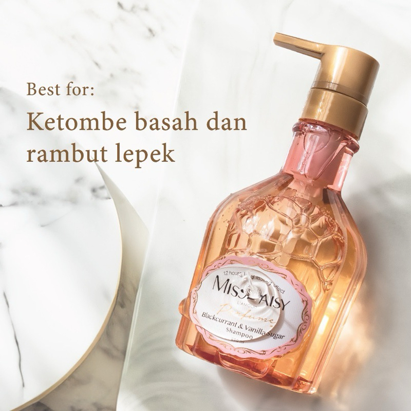 Jual MISS DAISY French Perfume Shampoo 500ml/50ml -| Anti Ketombe ...