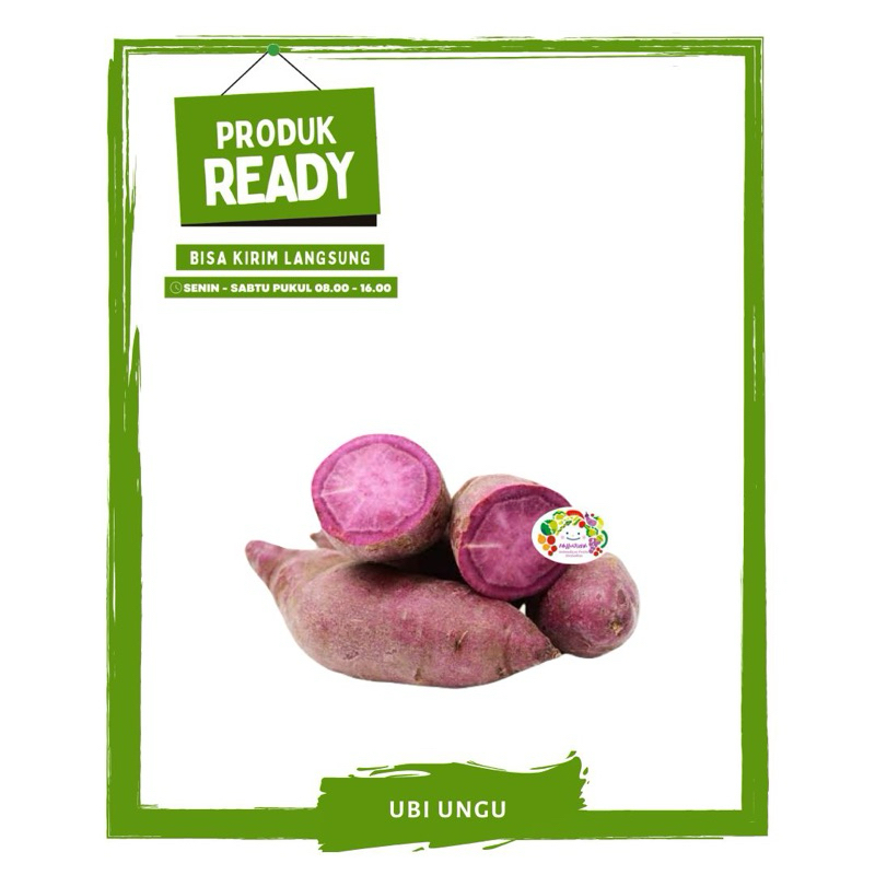 Jual Ubi Ungu / Ketela / Sayur Sayuran Segar Ready On Mallahrizwa ...