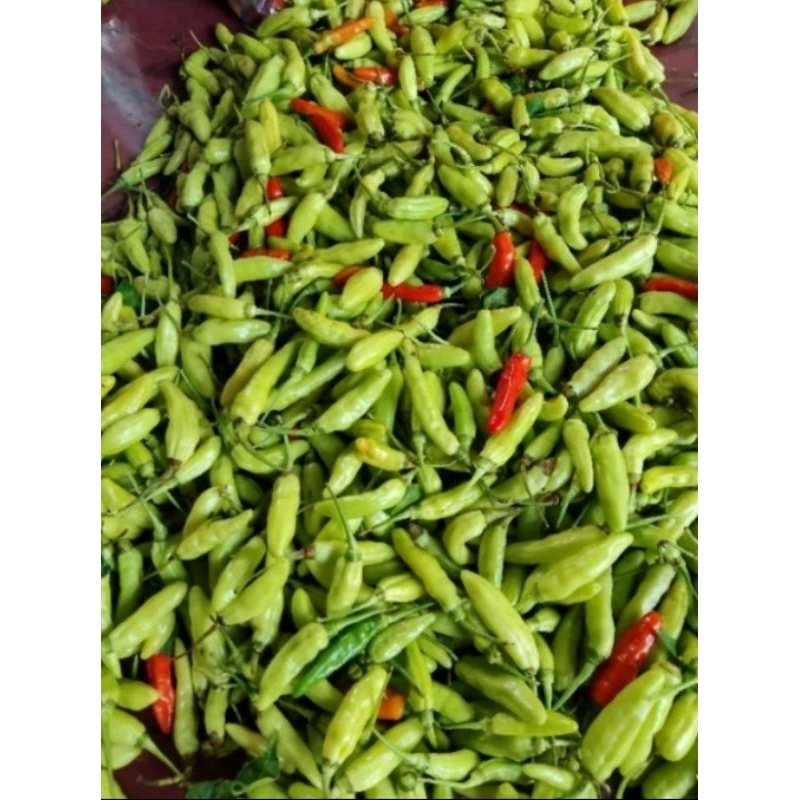 Jual Cabai Rawit Hijau 1 kg | Shopee Indonesia