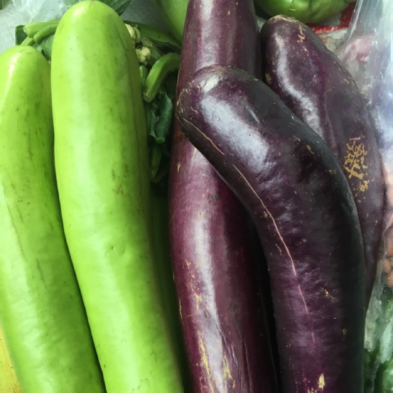 Jual Terong Hijau atau Terong ungu 500gr | Shopee Indonesia
