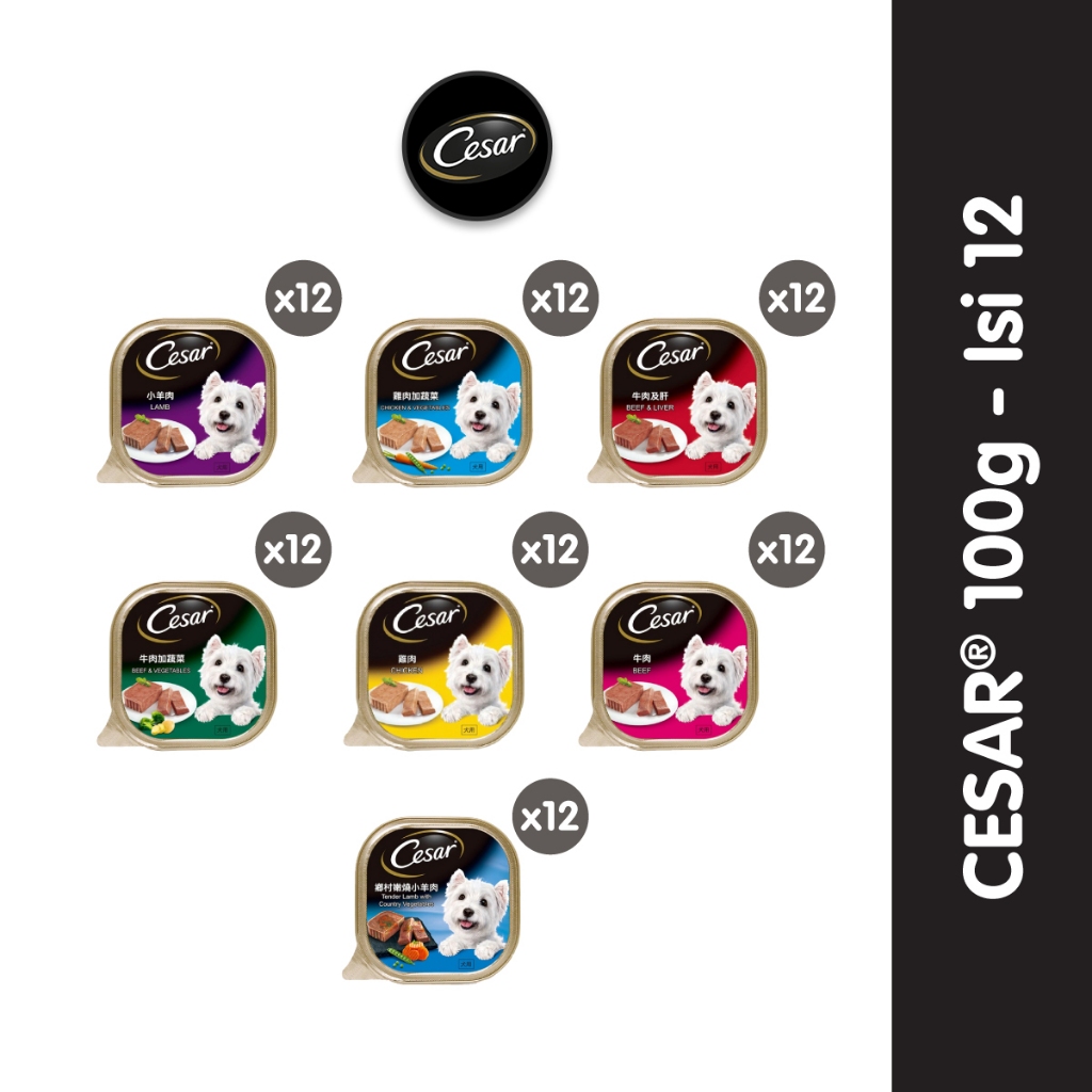 Jual Cesar Makanan Anjing Premium Basah 100 gr - Isi 12 | Shopee Indonesia