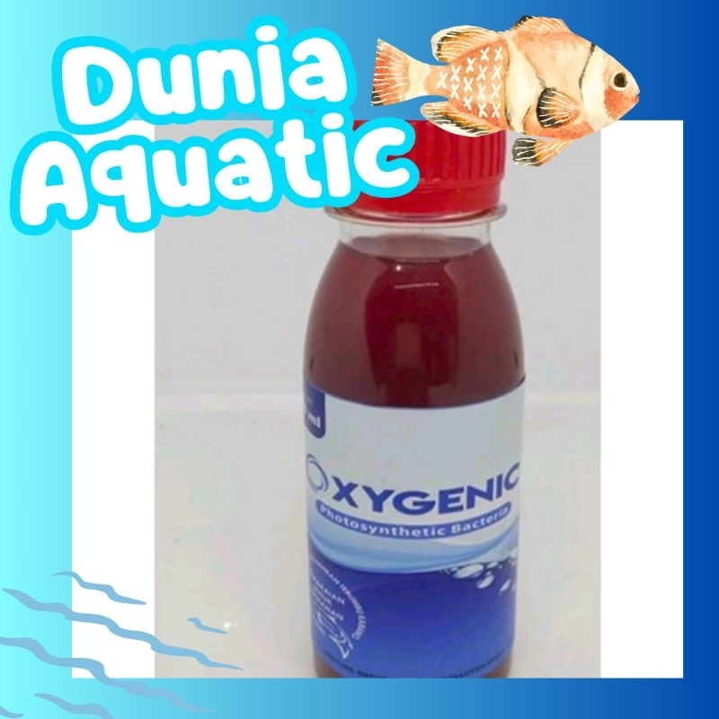 Jual OXYGENIC BAKTERI STARTER BACTERIA STARTER PROBIOTIC PROBIOTIK ...