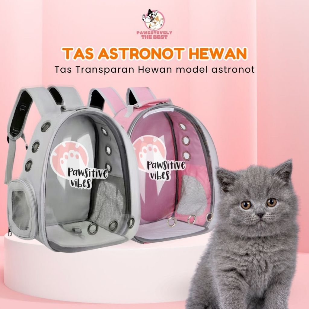 Jual TAS ASTRONOT ANJING KUCING - Tas Transparan - Tas Ransel Anjing ...