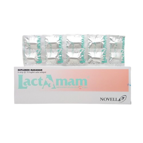 Jual Lactamam Suplemen Kesehatan Untuk Ibu Hamil 1 Strip Isi 10 Tablet ...