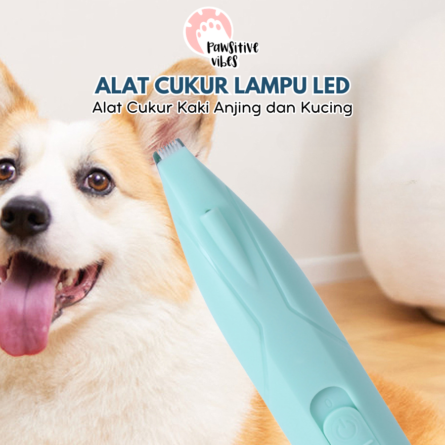 Jual Alat Cukur Bulu Kucing - Pet Trimmer Paw - Cukuran Paw - Alat ...