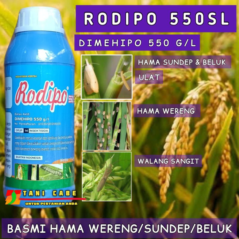 Jual INSEKTISIDA RODIPO DIMEHIPO BASMI HAMA WERENG/SUNDEP PADI 1 LITER ...