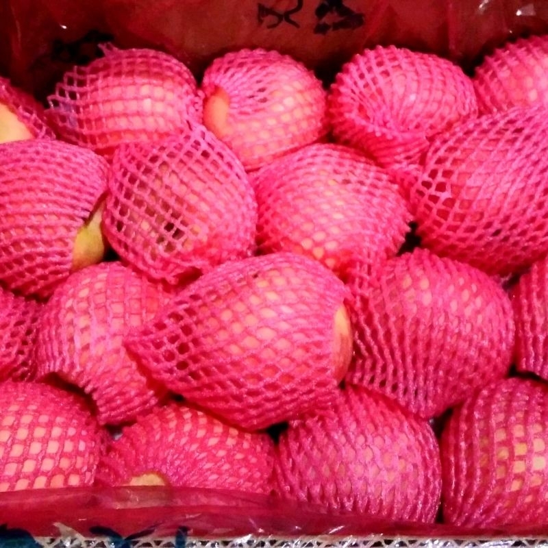 Jual APEL BURUK RUPA MERK RANDOM (KULIT HANYA LECET DALAM MASIH OK ...
