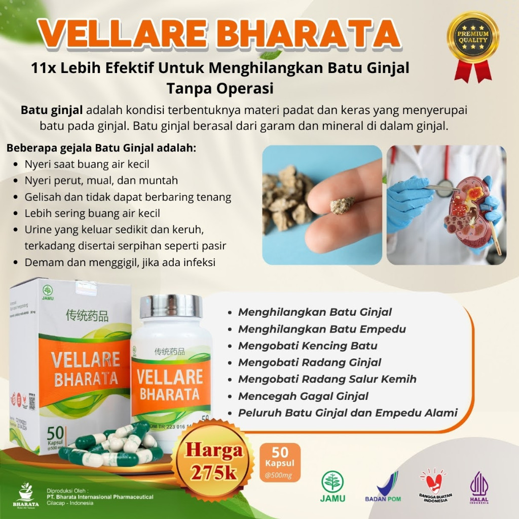 Jual Vellare Bharata Obat Batu Ginjal & Batu Empedu Paling Ampuh Tanpa Operasi & Cuci Darah ...