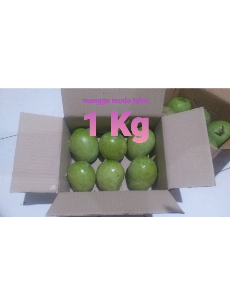 Jual mangga muda telor 1 kg/mangga muda kapur 1 kg | Shopee Indonesia