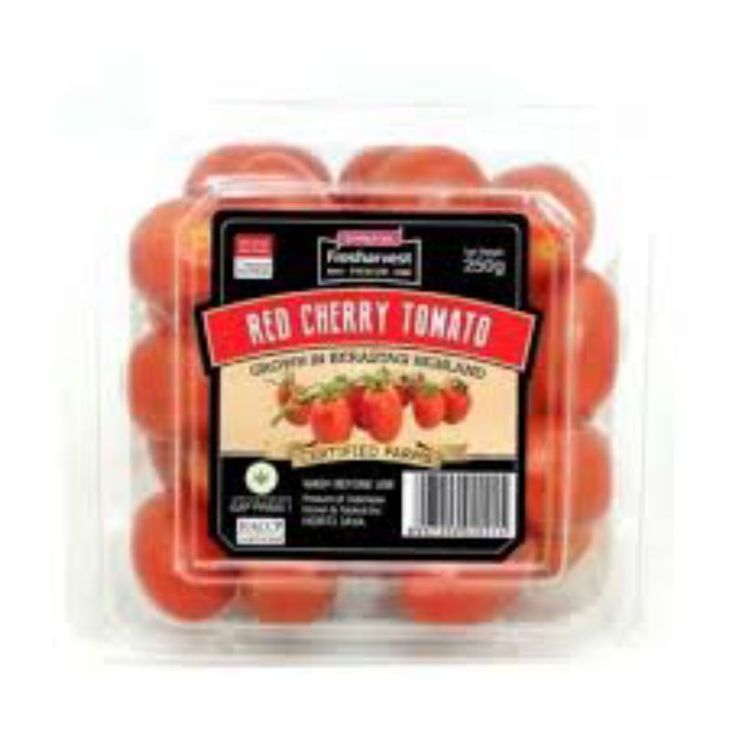 Jual Tomat chery fresh harvest/ 1 pack 250 g | Shopee Indonesia