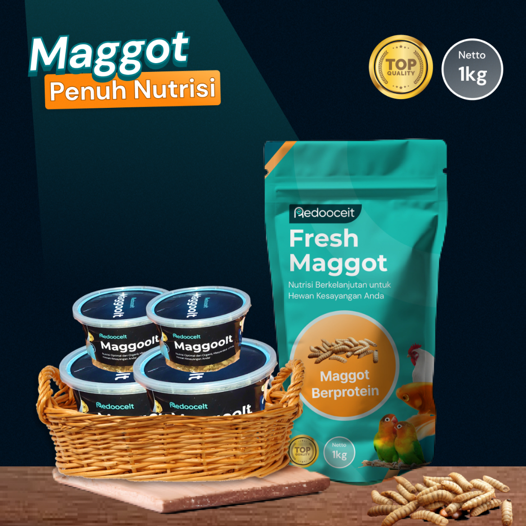 Jual MAGGOT BSF FRESH BASAH PAKAN AYAM TINGGI PROTEIN - MAGGOIT ...