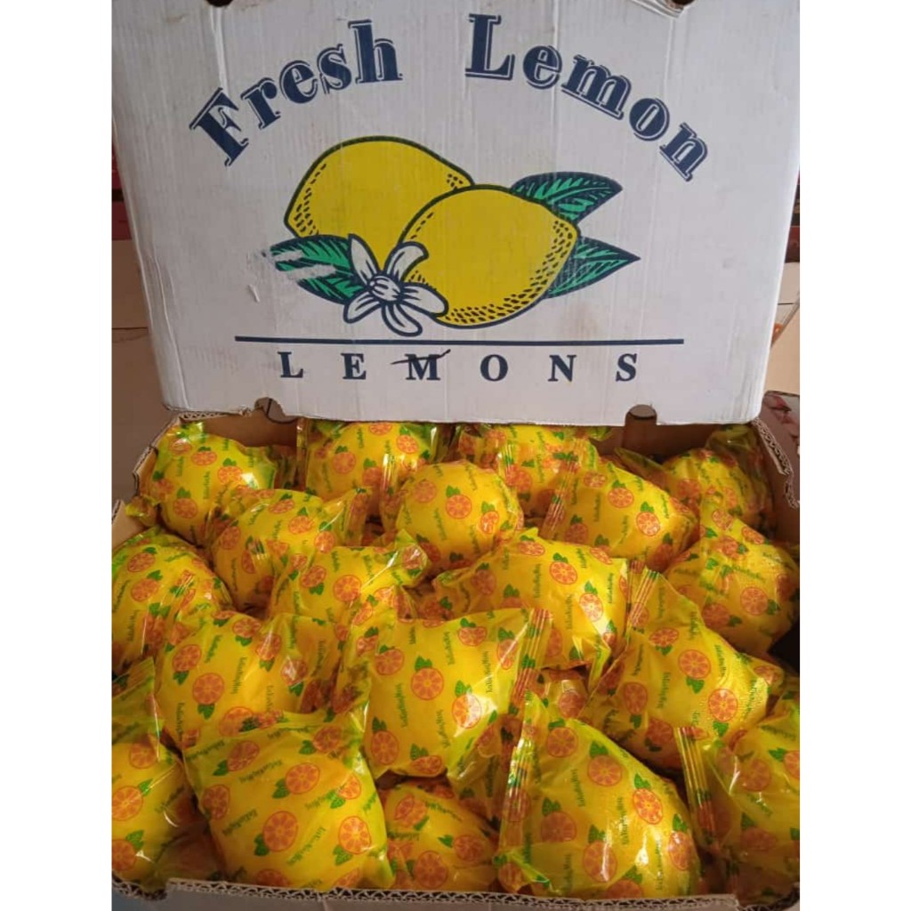 Jual Lemon China RRC IMPORT Premium Banyak Air 1 buah | Shopee Indonesia
