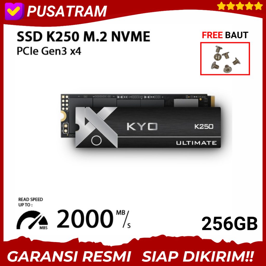 Jual KYO ULTIMATE K250 PCIe 3.0 NVME SSD 256GB M.2 NVMe Gen 3 x4 ...