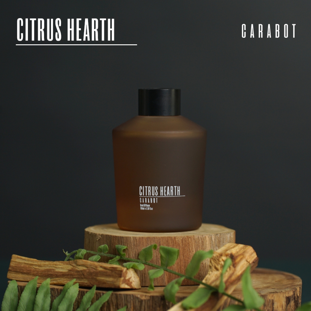 Jual Carabot - Reed Diffuser Botol Only 100ml - Aromaterapi Pengharum ...
