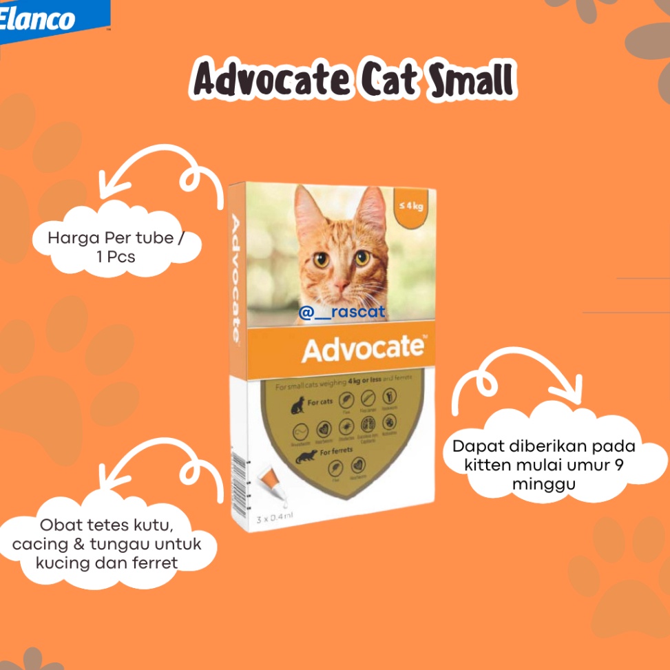 Jual Advocate Cat Small Berat 4 Kg Obat Kutu Kucing Kitten 1 tube Elanco Indonesia KODE S1P8 ...