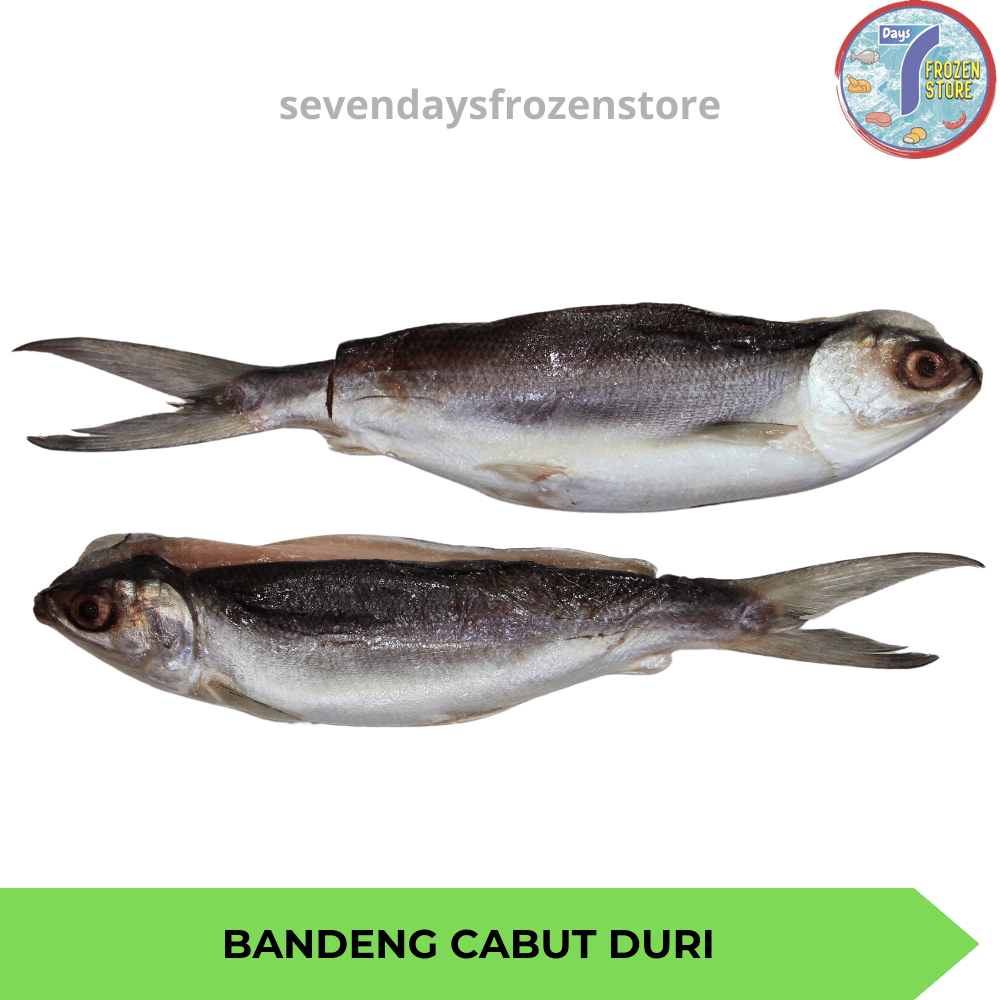 Jual Ikan Bandeng Cabut Duri | Tanpa Duri Frozen Beku | Shopee Indonesia