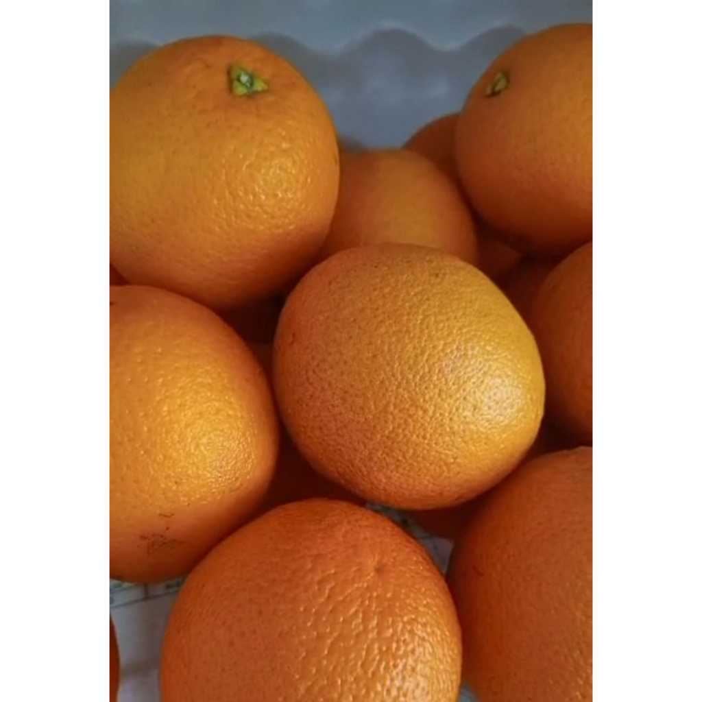Jual Jeruk Sunkist Terlengkap & Harga Terbaru Mei 2026 | Shopee Indonesia