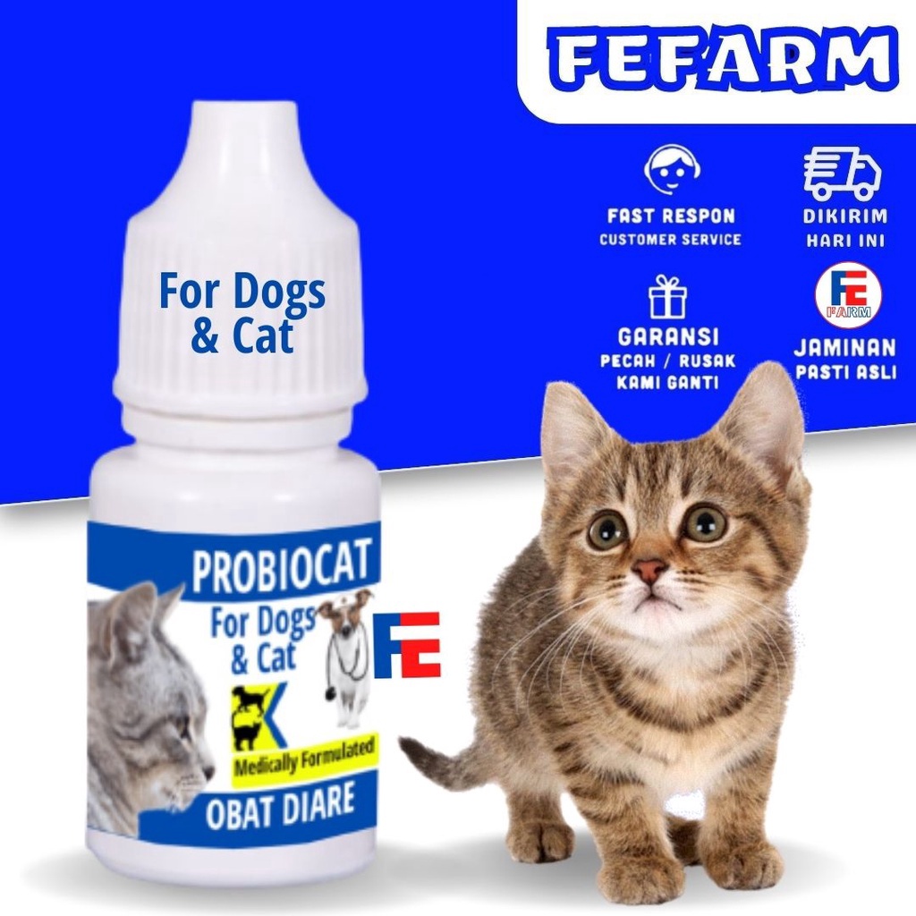 Jual BONANZA Obat Diare Kucing Obat Berak Darah Kucing PROBIOCAT FEFARM ...