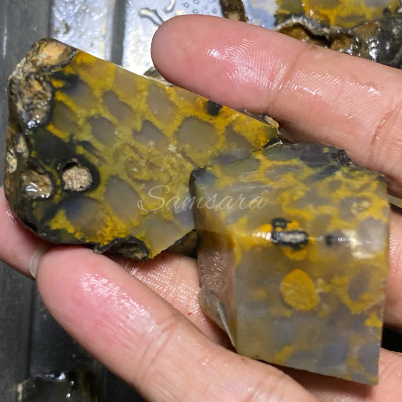 Jual Lempengan batu akik sarang tawon kalimantan / bahan batu akik ...
