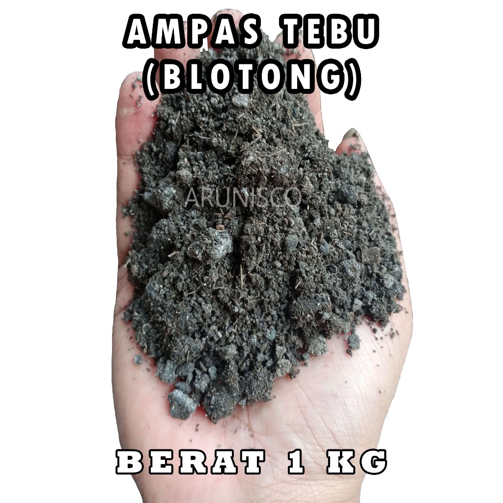 Jual (COD) 1 Kg Blotong atau Ampas Tebu Kering 'Arunisco' Sugarcane ...