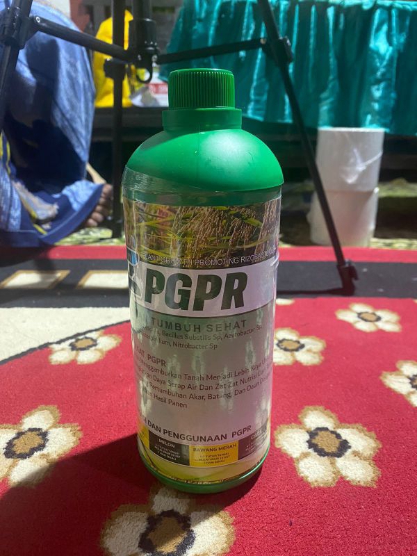 Jual PGPR Agen Hayati Alami 1 Liter Plant Growth Promoting ...