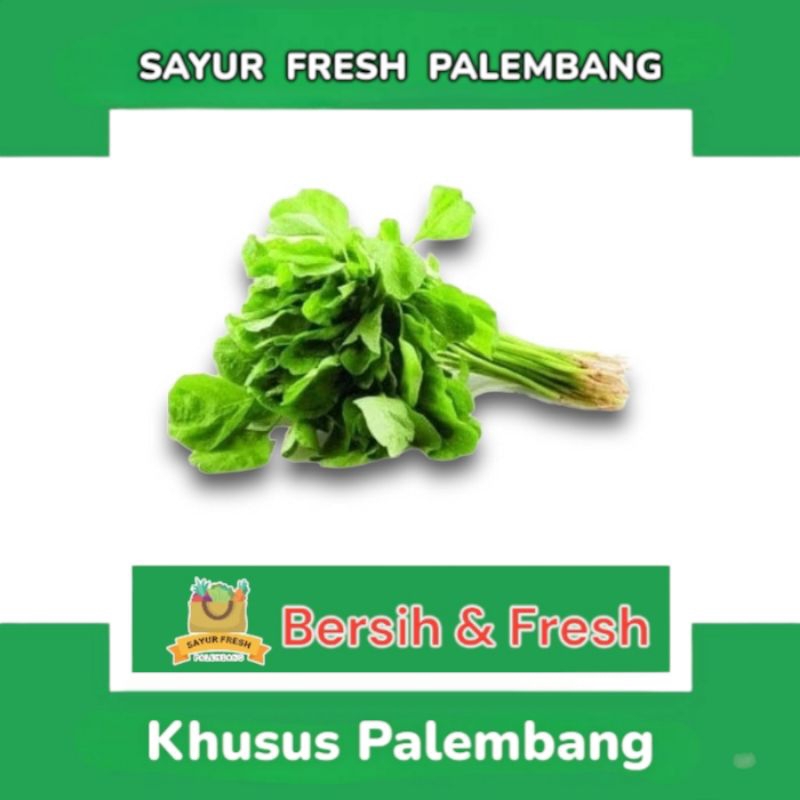 Jual Sayur Bayam Hijau /ikat - Sayur Fresh Pasar Perum | Shopee Indonesia
