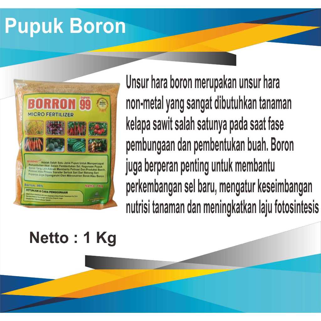 Jual Pupuk Boron Plus Magnesium 1 Kg Micro Fertilizer Tanaman Anti ...