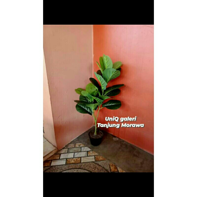 Jual pohon ketapang artificial ( palsu ) | Shopee Indonesia