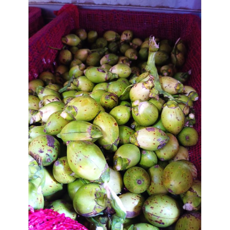 Jual Pinang segar 20 biji | Shopee Indonesia