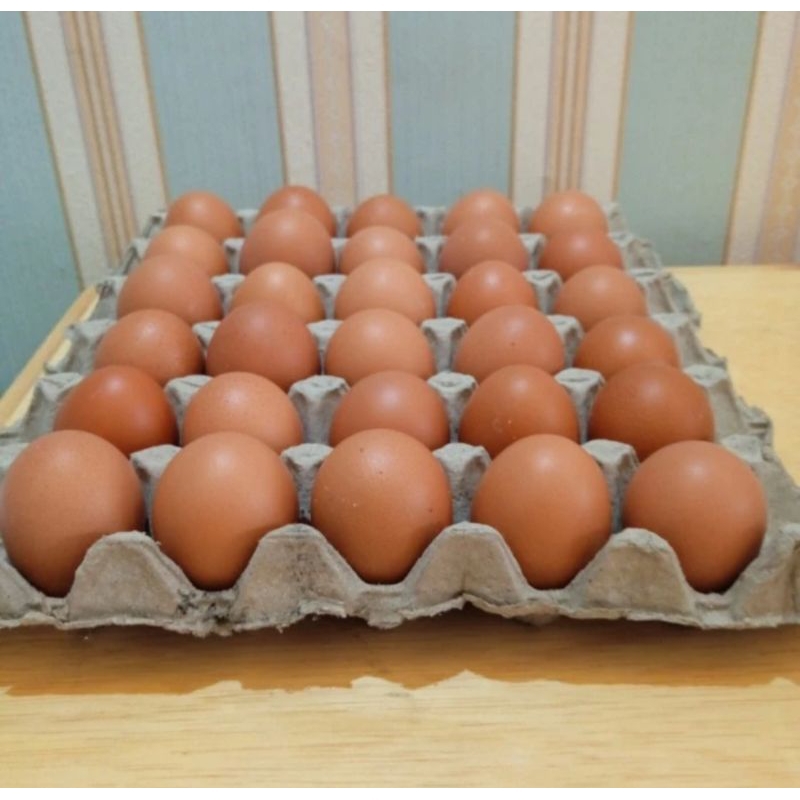 Jual Telur/Telur Ayam/ Telur Segar /Telur Ayam Negeri 20 KG ( 30 Butir ...