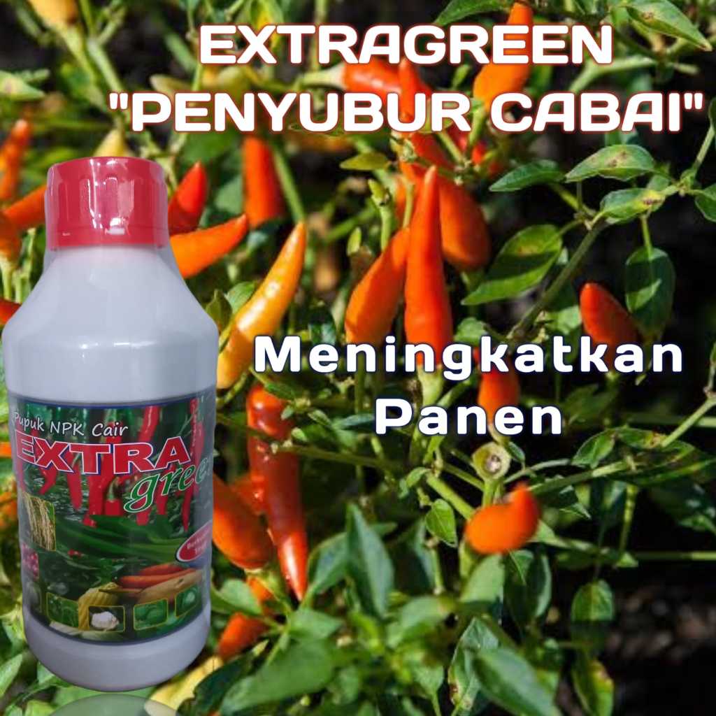 Jual Extragreen Pupuk Pelebat dan Menambah Bobot Cabai Anti Hama + ZPT ...